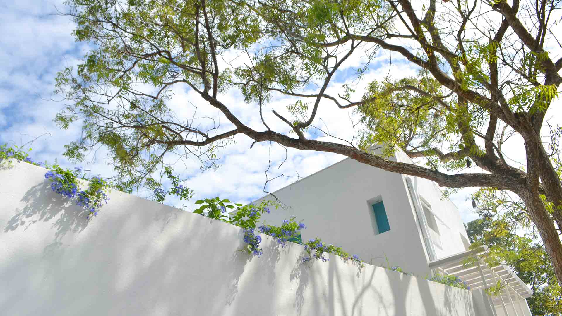 Get In Touch | Contact Us At 33 Lake Terrace